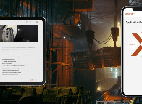 Anaxam: animated website development | Lemberg Solutions